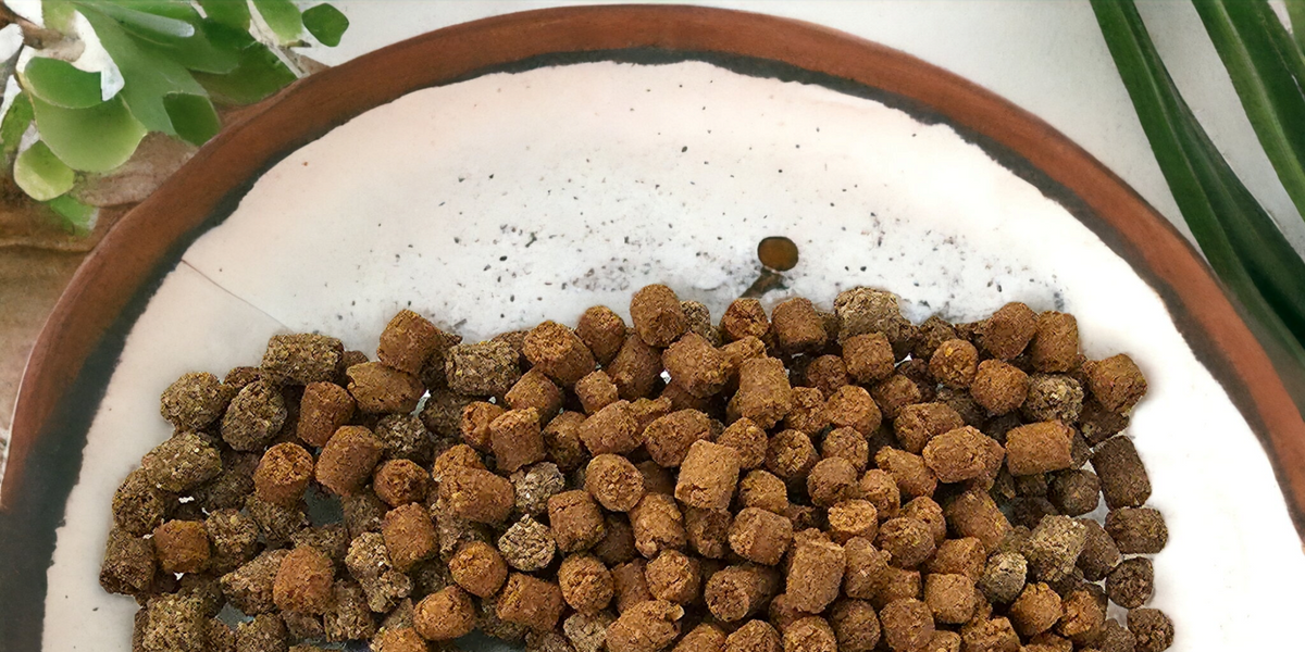 Nibbles Party Pack – The Fur Kids Bakery