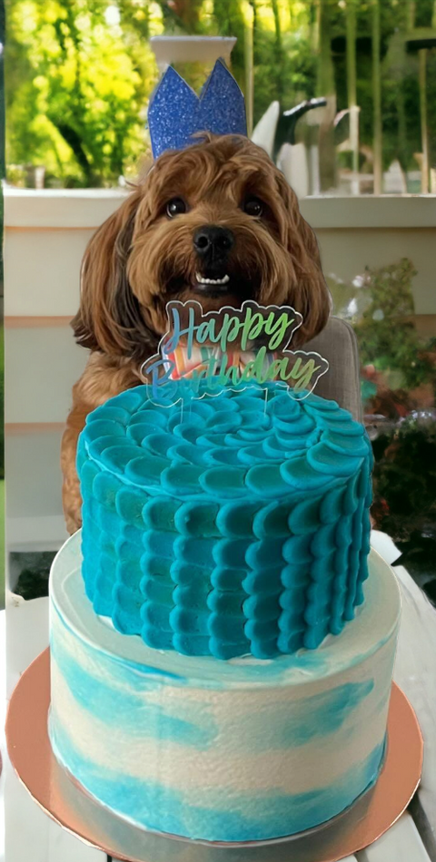 The Fur Kids Bakery - Celebrate with Pawfect Cakes 'n' Treats