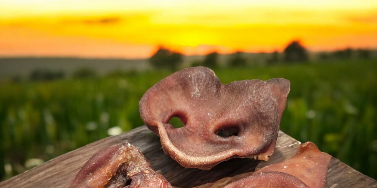 Pork Snouts ( Pig Snouts ) – The Fur Kids Bakery