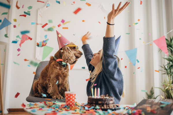 The Fur Kids Bakery - Celebrate with Pawfect Cakes 'n' Treats