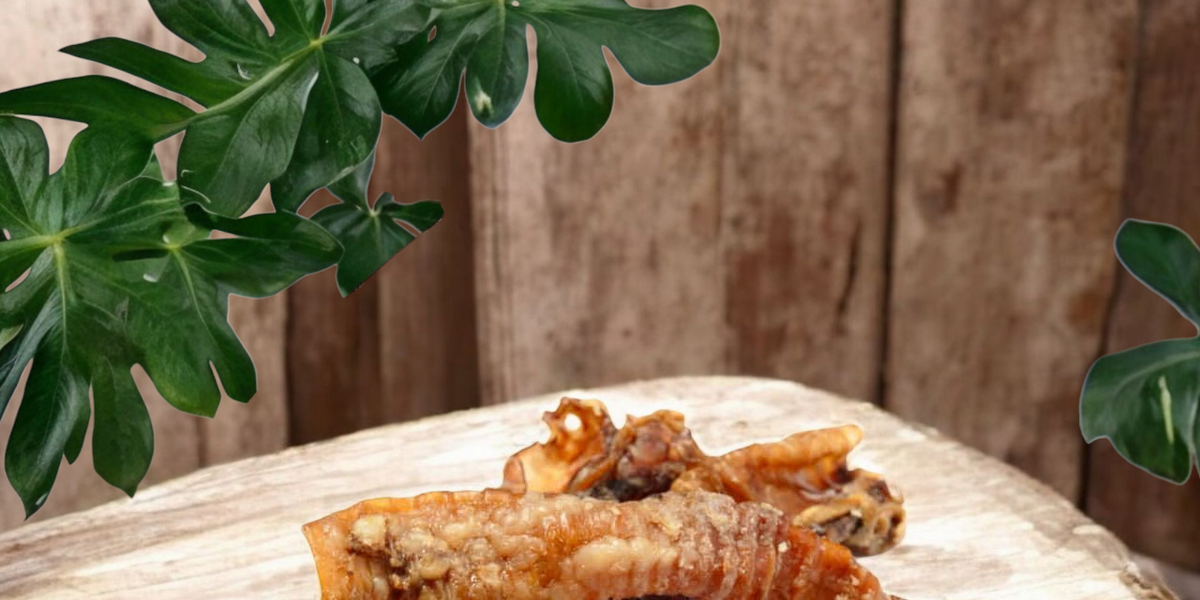 Lamb Tubes - Trachea – The Fur Kids Bakery